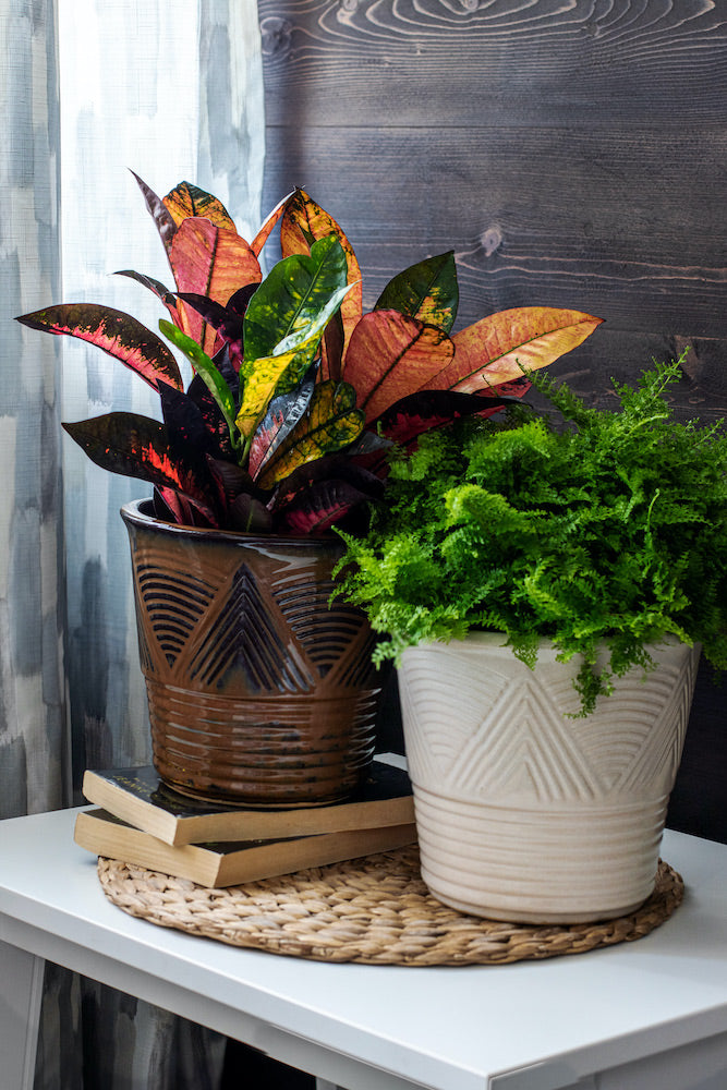 Burley Pottery – BurleyPottery