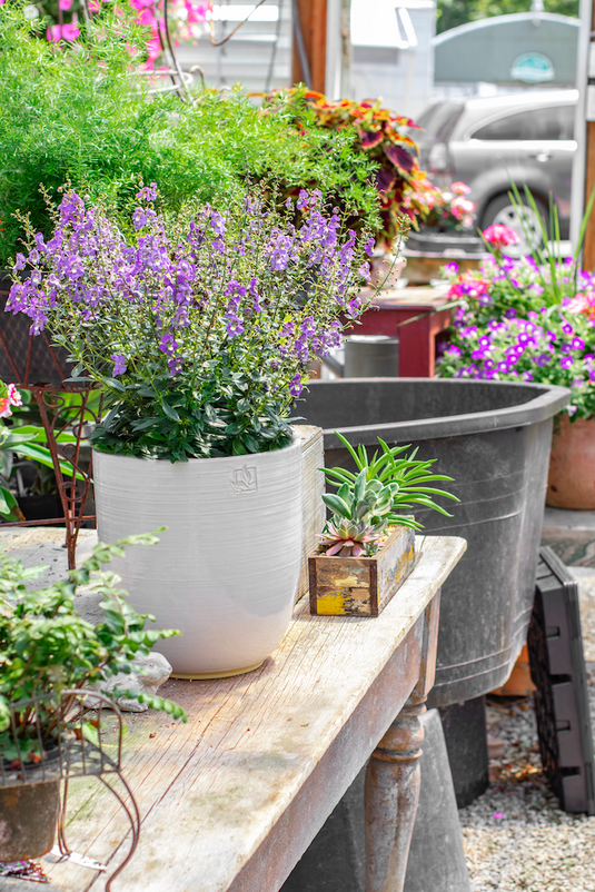 Burley Pottery – BurleyPottery